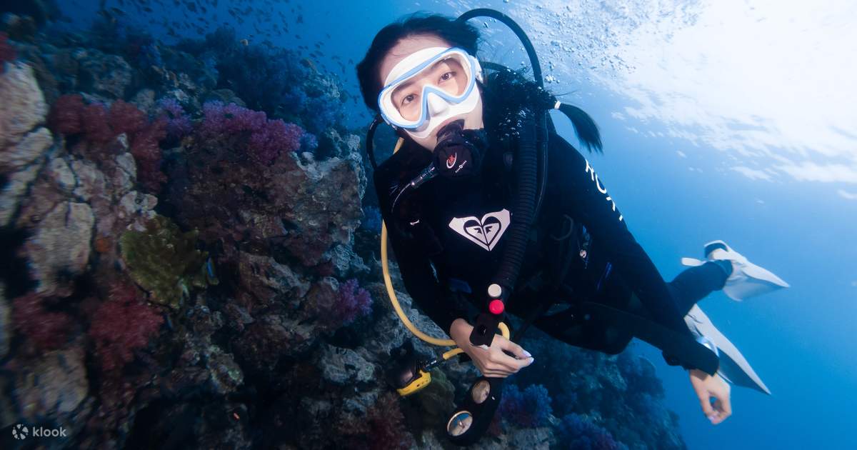 발견의 세계로 뛰어들기 Padi 다이브 센터와 함께 발리 파당바이에서 Padi 디스커버 스쿠버 다이빙 클룩 Klook 한국